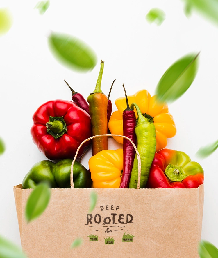 Full Service Branding And Marketing Agency | The Creative Trading Co.